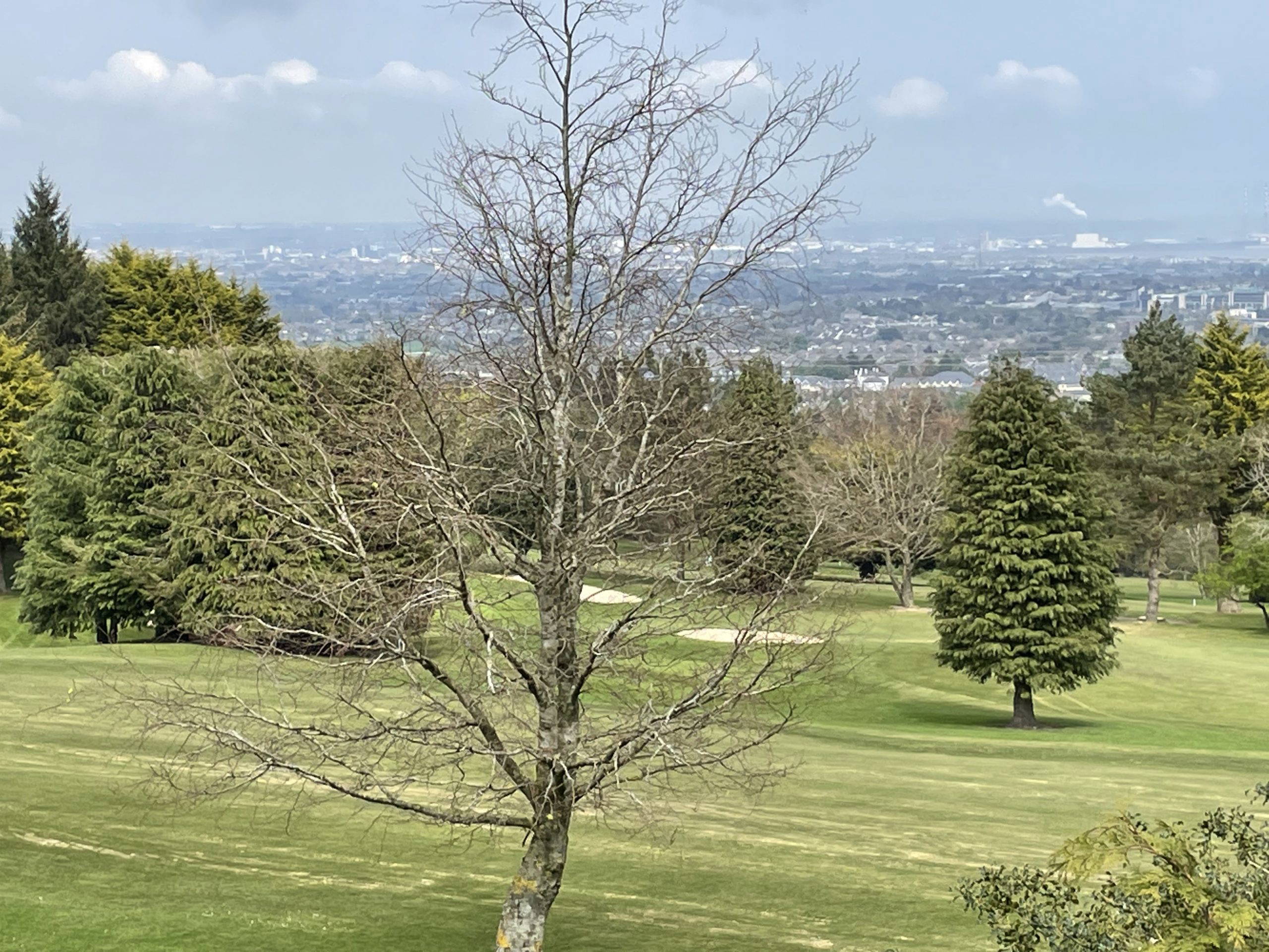 Take a Look | Stackstown Golf Club