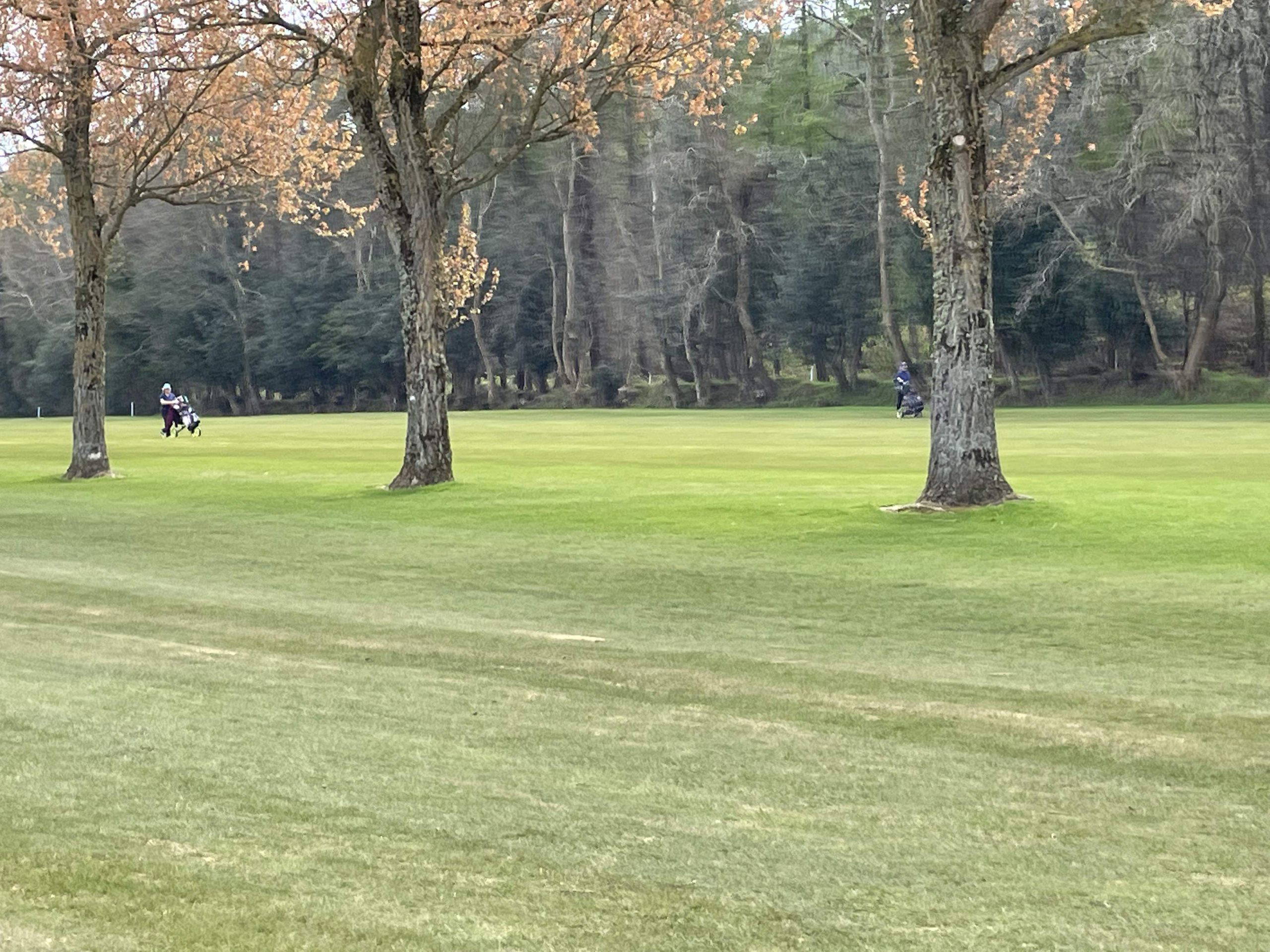 Take a Look | Stackstown Golf Club