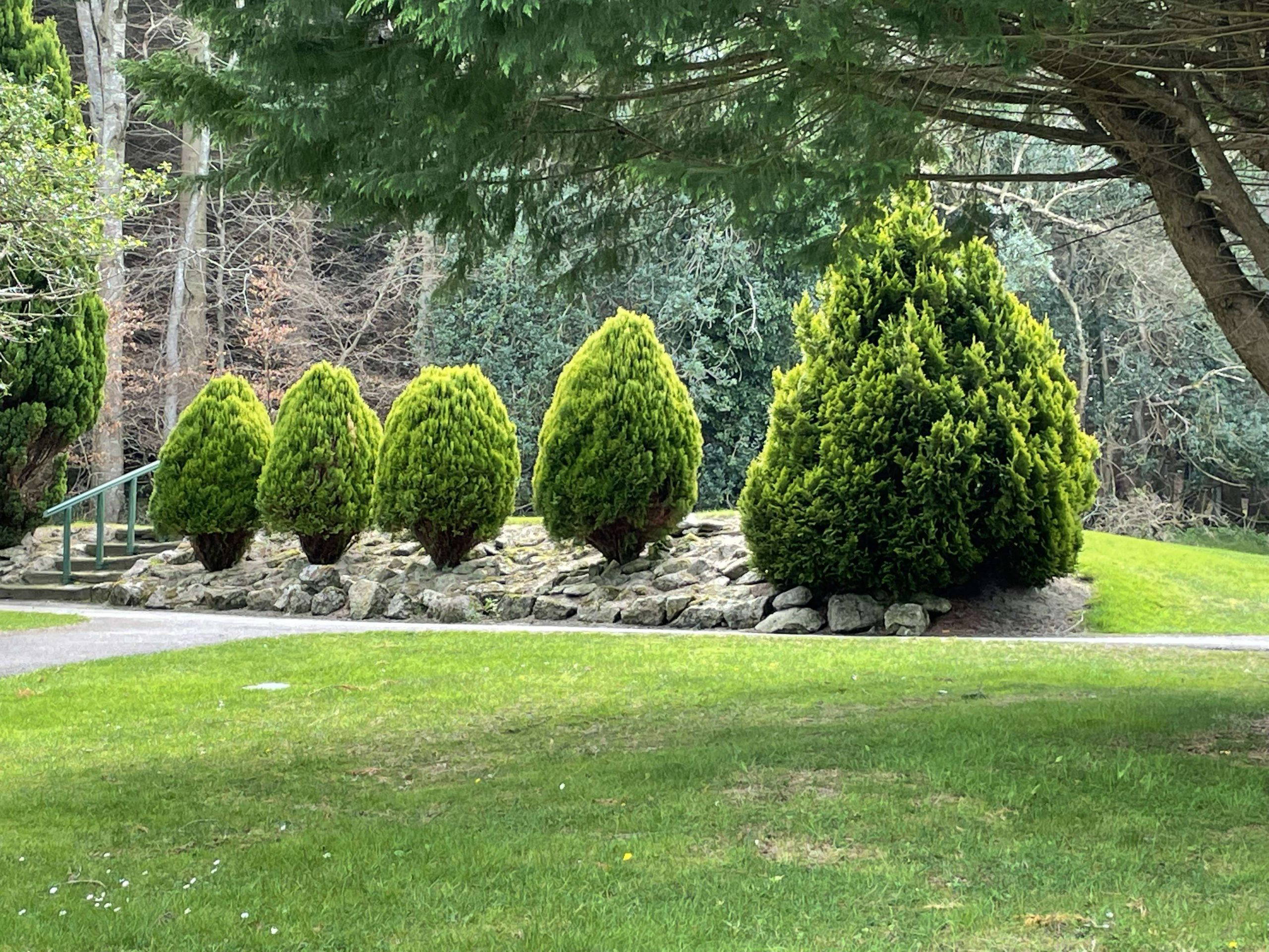 Take a Look - Stackstown Golf Club
