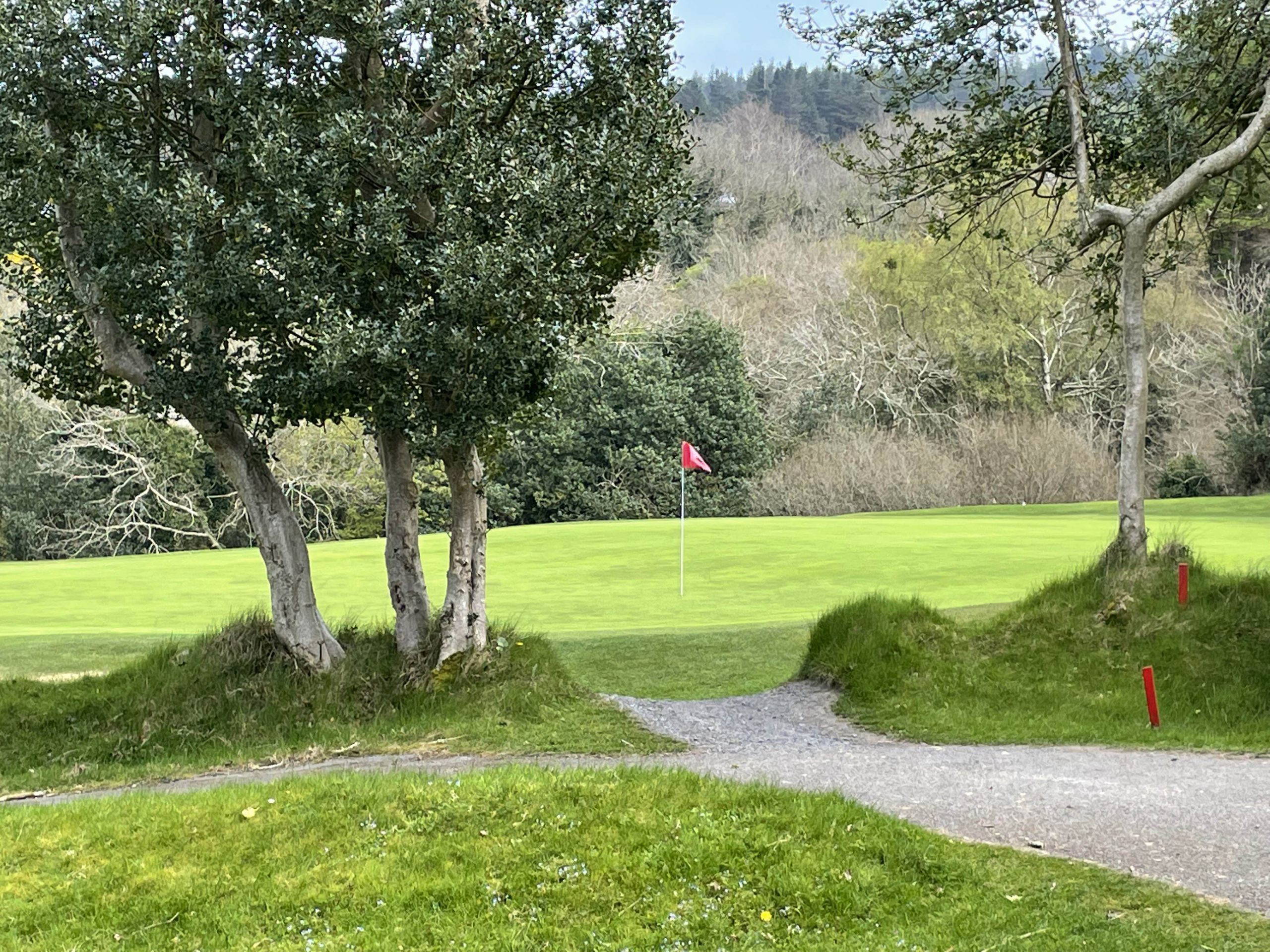 Take a Look | Stackstown Golf Club