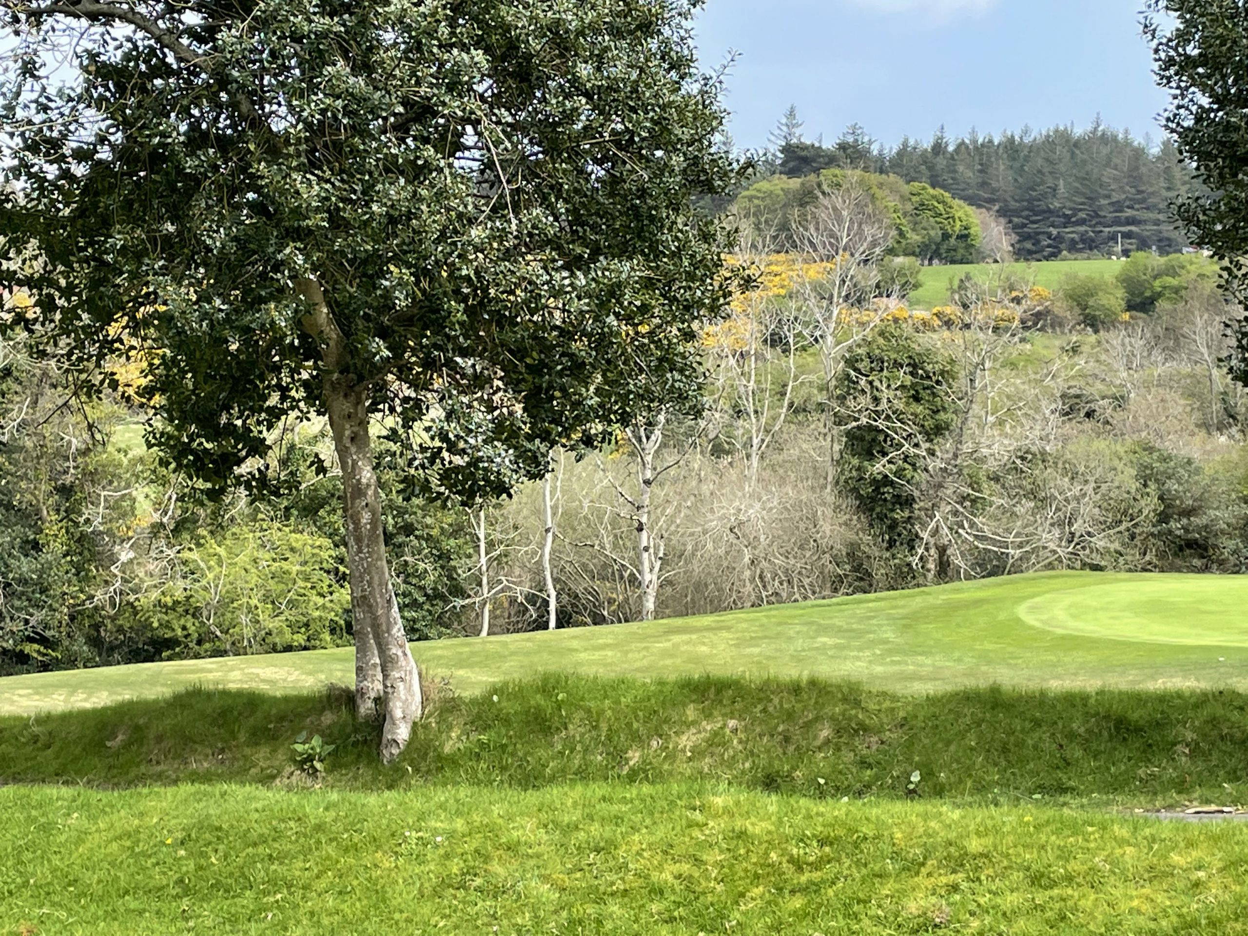 Take a Look | Stackstown Golf Club
